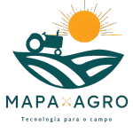 Como plantar um pé de pimenta? Dicas e Técnicas