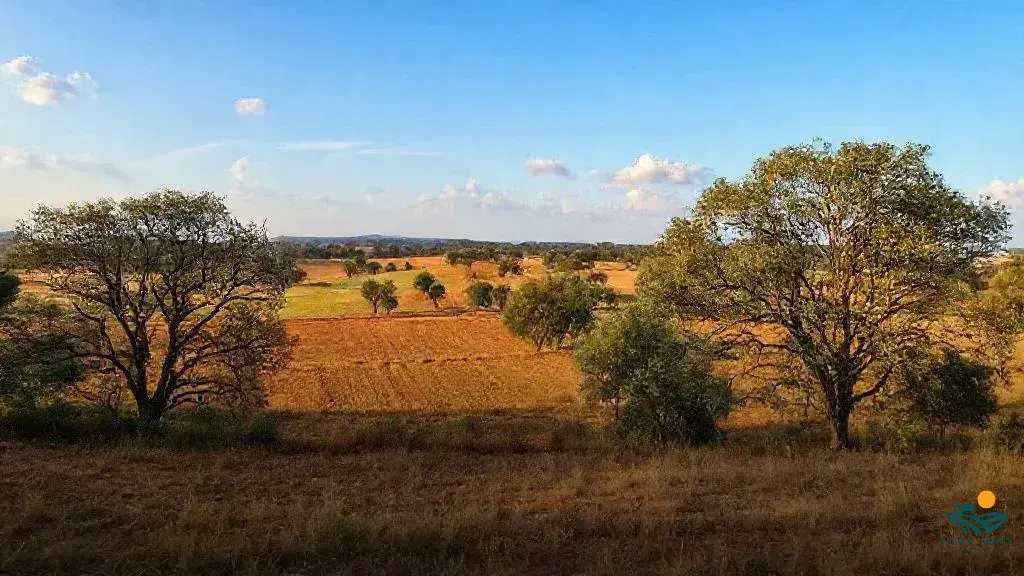 quanto mede um alqueire paulista e suas curiosidades reveladas