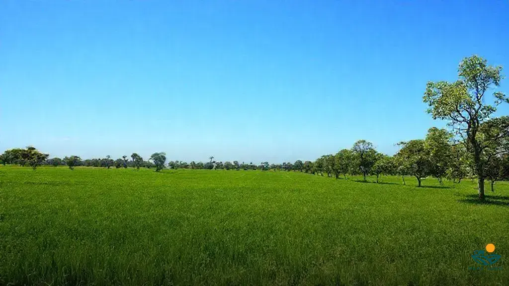 quanto metros tem um alqueire de terra? Descubra agora!